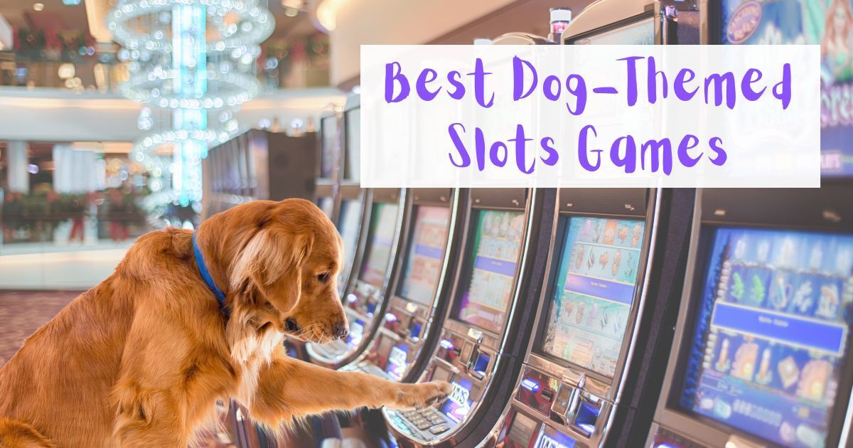 Best Dog Slot Machines to Play Online